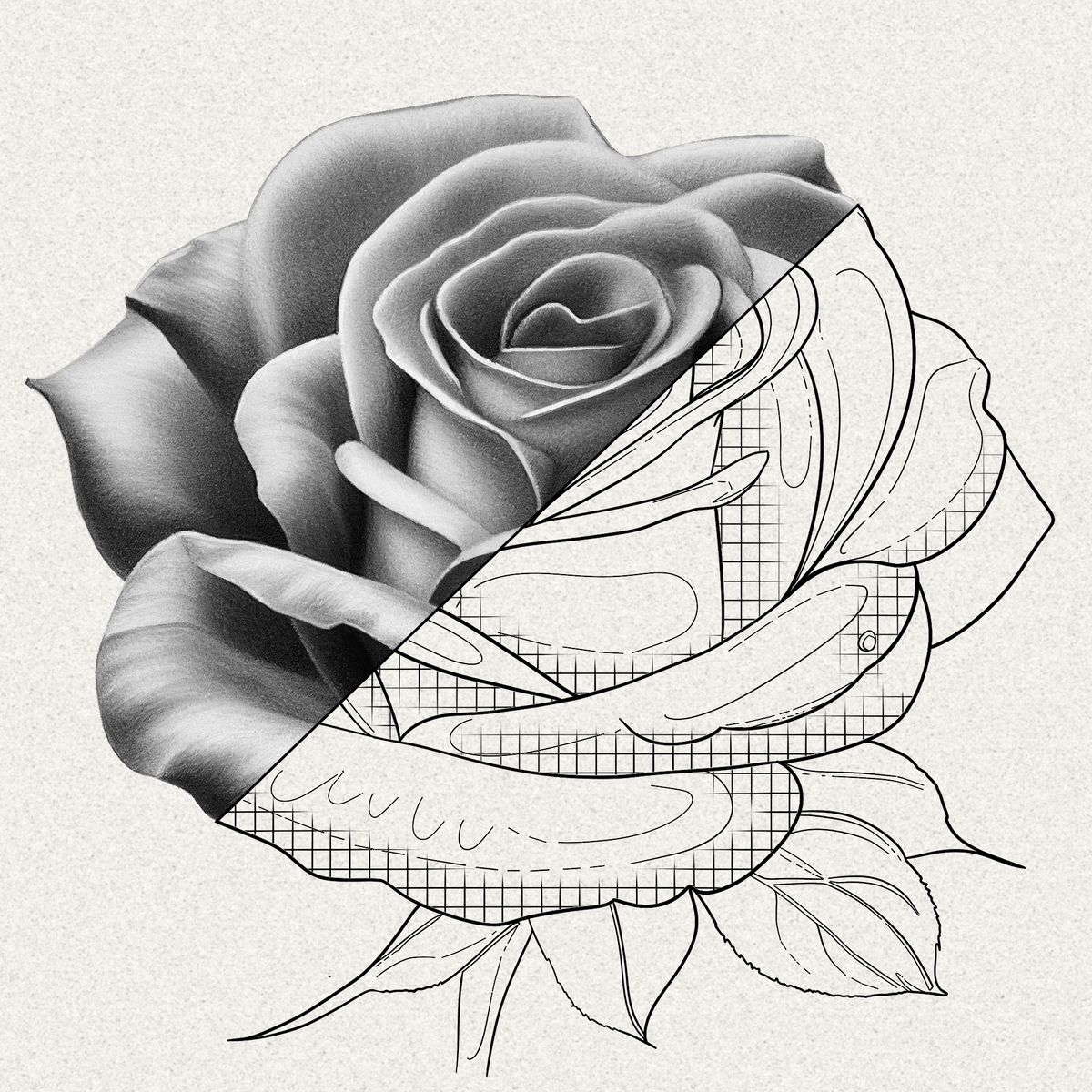 Stencil-Pro | Premium Tattoo Stencils & Reference Designs